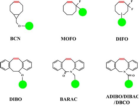 2 Some Commonly Used Cyclooctynes For Strain Promoted Azide Alkyne Download Scientific Diagram