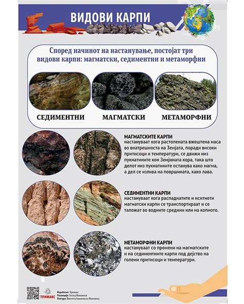 ОП122 Видови карпи