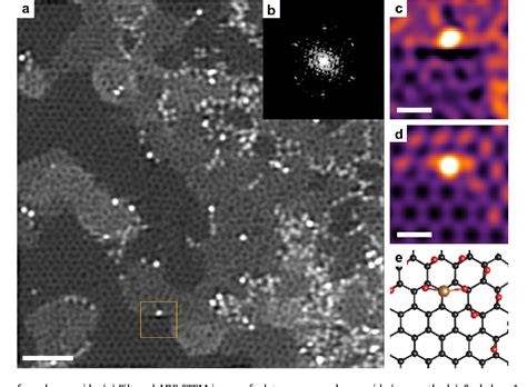 Figure From Anomalous Diffusion Of Single Metal Atoms On A Graphene Oxide Support Semantic