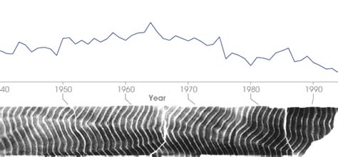 Paleoclimatology The Oxygen Balance