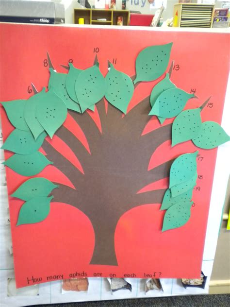 Cachey Mama S World Of Learning Plant Unit