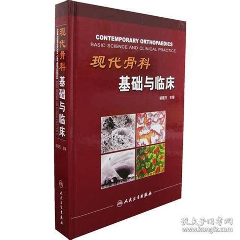 历代名家书法经典唐寅 王冬梅 编 孔夫子旧书网