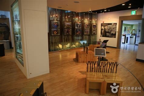 Jeong Jiyong Literature Gallery 정지용 문학관 정지용 문학관 Trippose