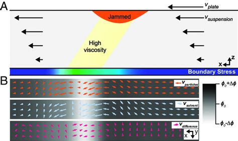 Schematic Of Model For Propagating Fronts A Cross Section In The