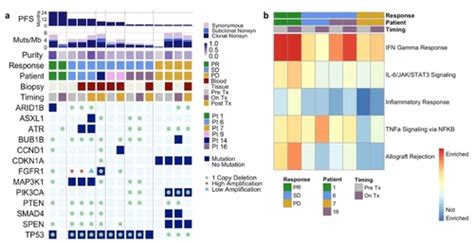 Olink蛋白组学 联合免疫治疗转移性三阴性乳腺癌临床ii期生物标志物研究