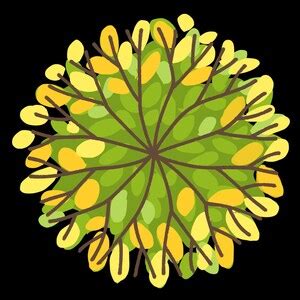 Tree Top View Symbols Landscape Tree Plan And Grass Textures Landscape Design Top View Trees