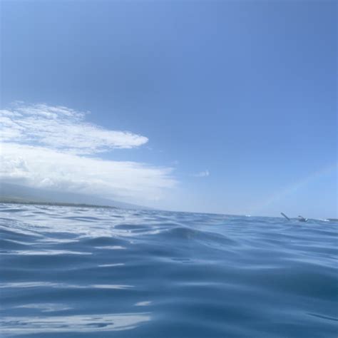 하와이 스노클링·다이빙 빅아일랜드 캡틴 쿡 ＆ 스노클링 마이리얼트립