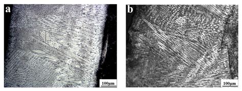 Metallographic Structure Of Cladding Layers A Microstructure Of The Download Scientific