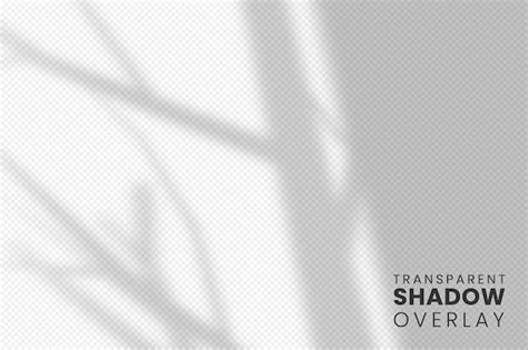 투명한 창 그림자 오버레이 템플릿 무료 Psd 파일