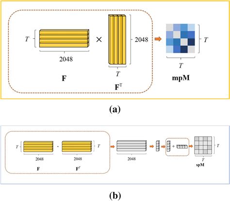 The Calculation Process Of Projection Matrix A Is The Calculation Download Scientific Diagram