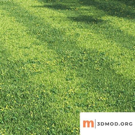 Grass England Garden