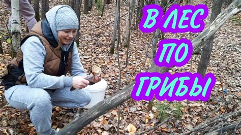 Тёща попросила съездить в лес по грибы Я не грибник Но как тут откажеш Youtube
