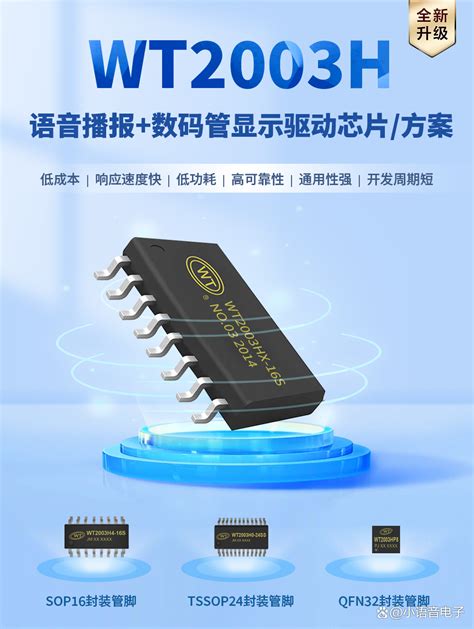 13 12数码管显示驱动 语音播报功能二合一方案WT2003H4 B002 哔哩哔哩