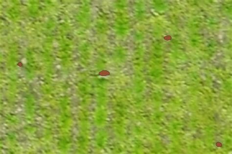 Shapefile Qgis Dissolvemerge Features That Overlap Geographic Information Systems Stack