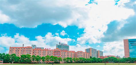 权威发布 海军军医大学2022年文职人员（附岗位、专业明细）（附岗位计划）——中国科学人才网（官网）