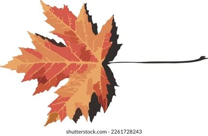 Vector Dry Leaves Falling Tree Stock Vector Royalty Free 2261728243 Shutterstock