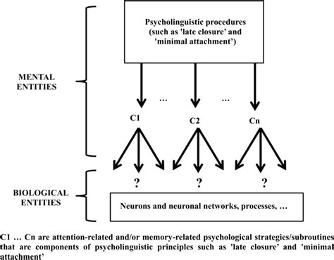 the gap between psycholinguistic procedures mental entities and