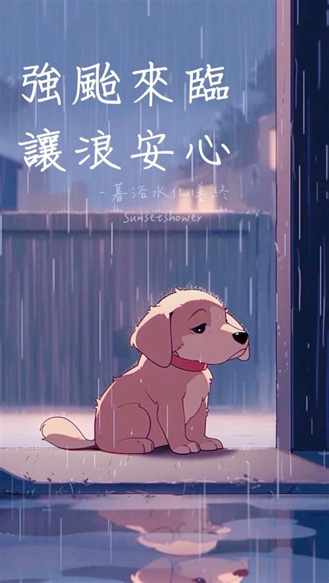 暮浴 Sunsetshower 🇹🇼全方位寵物禮儀 暮浴水化善終 💧你聽過「寵物水化善終」嗎？ ⠀⠀⠀ 水化也稱為水焚葬、環保水化或鹼性
