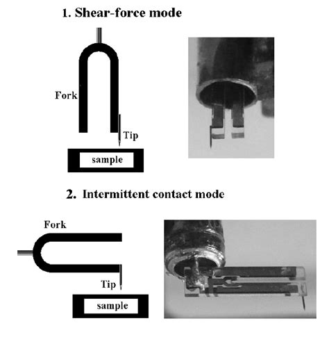 Principle Operation Of The Tuning Fork Based On AFM 1 Shear Mode And Download Scientific