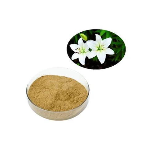 Lily Flower Extract At 1250 00 Inr In Indore Madhya Pradesh Kshipra Biotech Private Limited