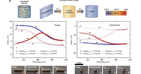 Shape Programmable Soft Materials Based On Liquid Crystal Elastomers Valentina Domenici