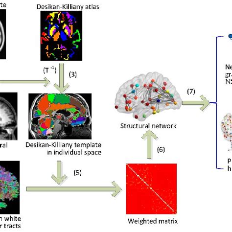 The Workflow Of Brain Network Analysis Based On Graph Theory And Download Scientific Diagram