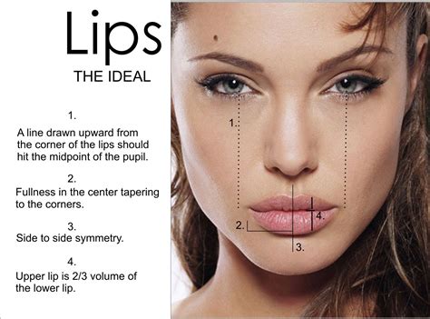 Diagram Botox Lip Flip Injection Points