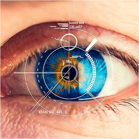 Target Normas ISO IEC 19989 2 O Desempenho Reconhecimento