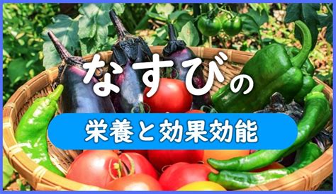 なすの栄養成分表｜主な3つの栄養素と3つの期待できる効果まとめ お役立ち！季節の耳より情報局