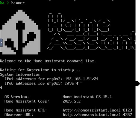Home Assistant Cannot Start After Updating Haos To 15 2 Installation Home Assistant Community