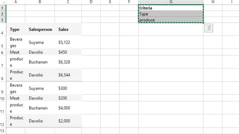 How To Use The Double Filter In Excel To Filter Data By Multiple