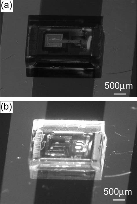 Testing Of A Four Component Sensor Module That Can Be Activated And Download Scientific Diagram