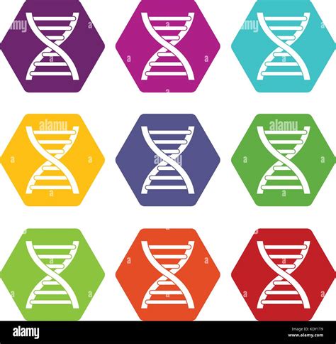 Dna Icon Set Color Hexahedron Stock Vector Image And Art Alamy