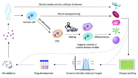 Functional Genomic Tools Contribute To Robust Disease Modeling For Drug Download Scientific