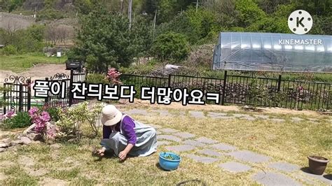 꽃피는 산골여인 오늘은 혼자 놀아요 Youtube