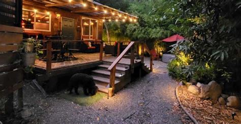 Beach Camping In Lake Berryessa California Best Beach Campsites 2023