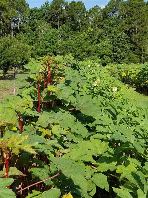 Hillcrest Farm Home Facebook