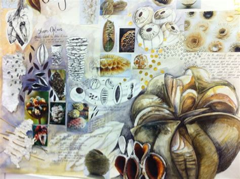 Natural Forms Art Atelier Yuwa Ciao Jp
