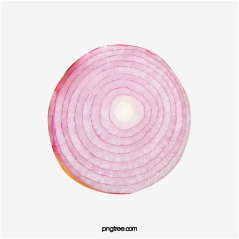 자유로운 투명한 바닥 양파 일러스트 링 양파 클립 아트 양파 자유 요소 Png 일러스트 및 Psd 이미지 무료 다운로드 Pngtree 바닥 클립 아트 양파