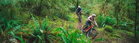 2021 Levo EMTB Forums