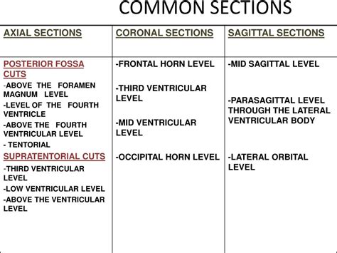 PPT CT BRAIN BASICS PowerPoint Presentation Free Download ID 3348918