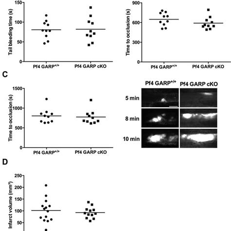 Abciximab Binding To And Blocking Of Gp Iibiiia And V 3 Download Table