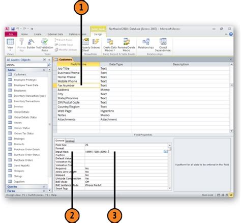 Microsoft Access 2010 Customizing Fields Formatting Field Contents Creating Input Masks