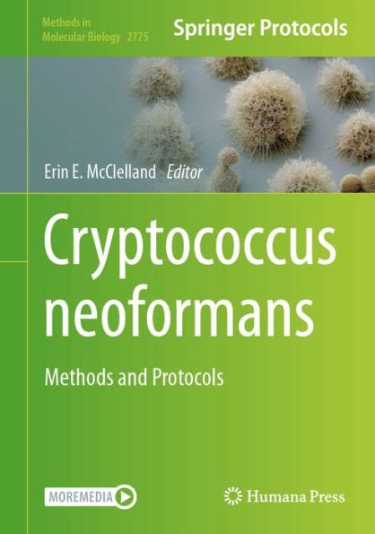 Cryptococcus Neoformans Methods And Protocols By Erin E Mcclelland Ebook Barnes And Noble®
