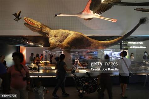 Feathered Dinosaur Photos And Premium High Res Pictures Getty Images