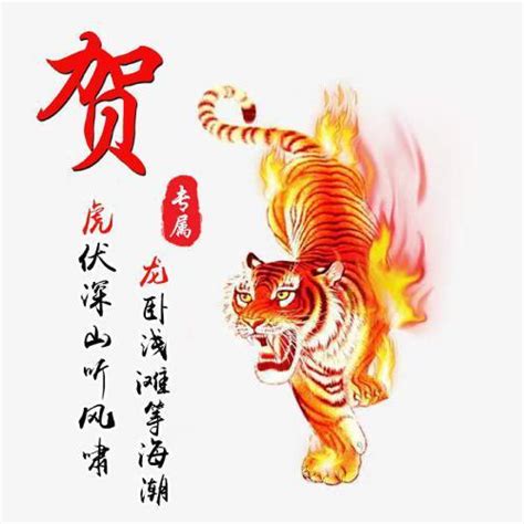 虎年微信头像图片 配图网