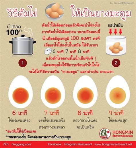 เพื่อนๆต้มไข่ยางมะตูม ตาม Level ได้ดั่งใจตามนี้ค่ะ Pantip