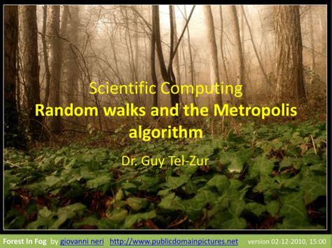 Random Walk And The Metropolis Algorithm Guy Tel Zur