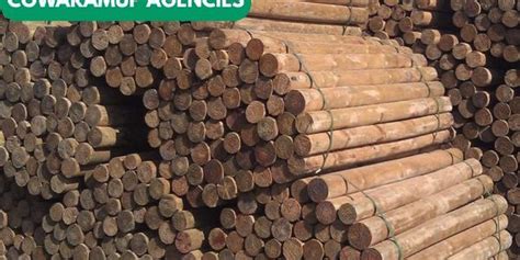 Multimin® Evolution Injection For Cattle 500ml Boost Immunity