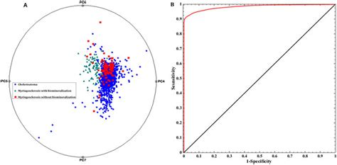 A Multi Dimensional Radial Visualization Plot Of Selected Principal